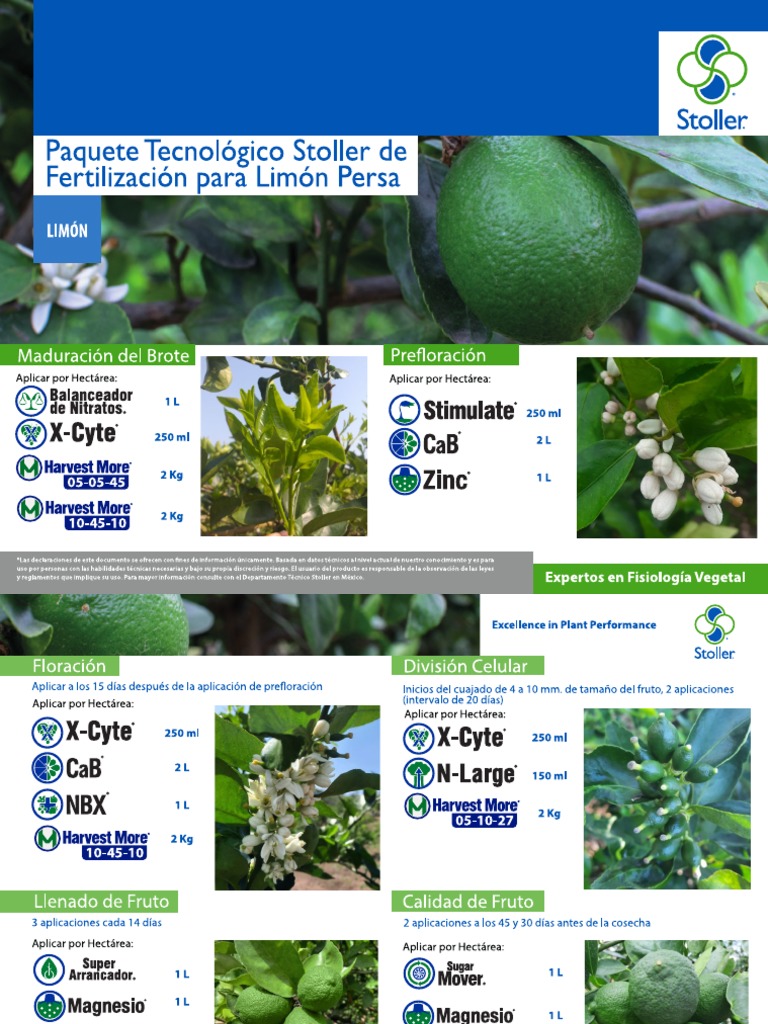 Soluciones Stoller Limon | PDF