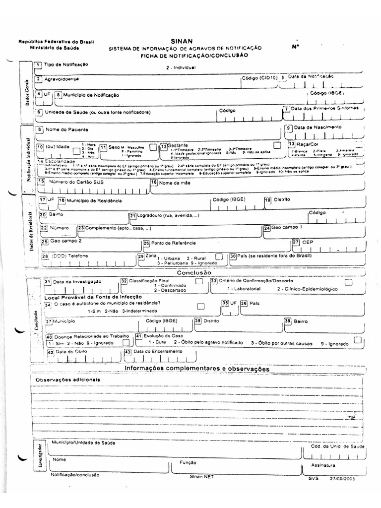 Sinan - Ficha de Notificação-Conclusão | PDF