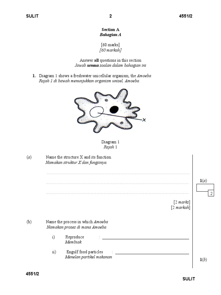 Paper 2 Akhir Tahun Form 4 | PDF | Anatomi