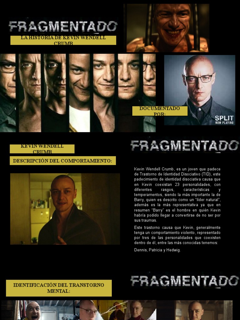 Fragmentado | PDF | Enfermedades y trastornos humanos | Cognición