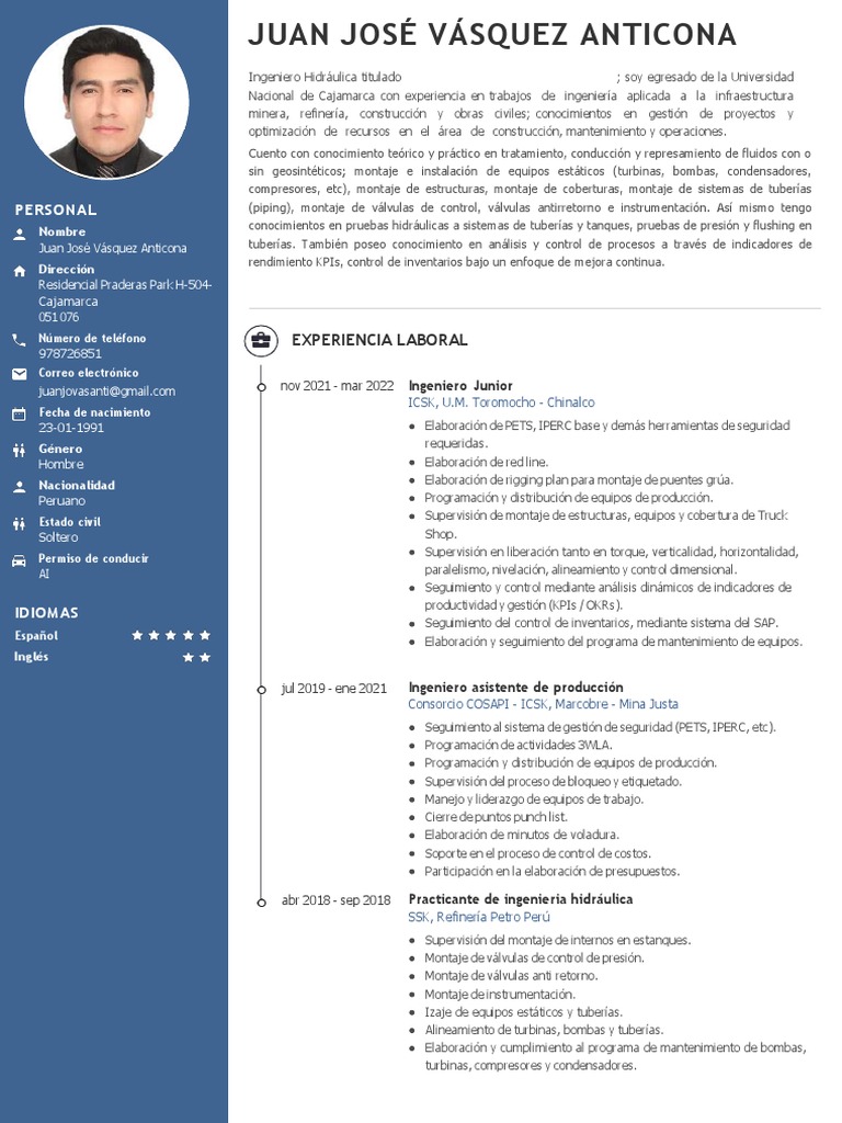 Vasquez CV | PDF | Ingeniería | Ciencias fisicas
