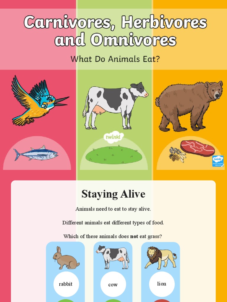 T SC 2549595 Ks1 Carnivores Herbivores and Omnivores Powerpoint Ver 5 | PDF