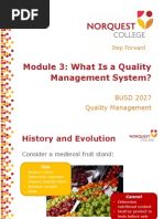 Examples of Scope Statements For ISO 9001 - 2015 | PDF | Quality ...