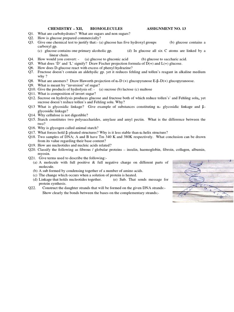CBSE Class 12 Chemistry Worksheet | PDF | Glucose | Carbohydrates
