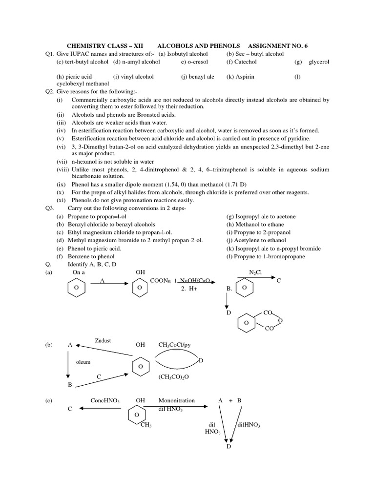 Alcohols and Phenols Worksheet | PDF | Ester | Acid
