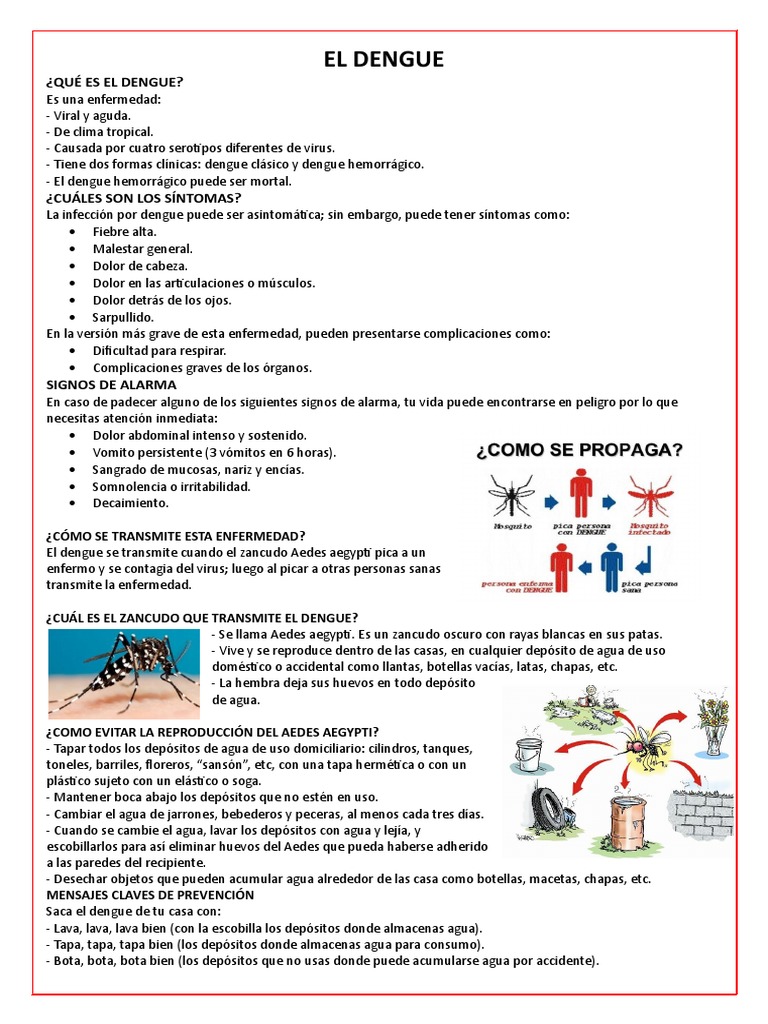 El Dengue | PDF | Microbiología | Enfermedades y trastornos