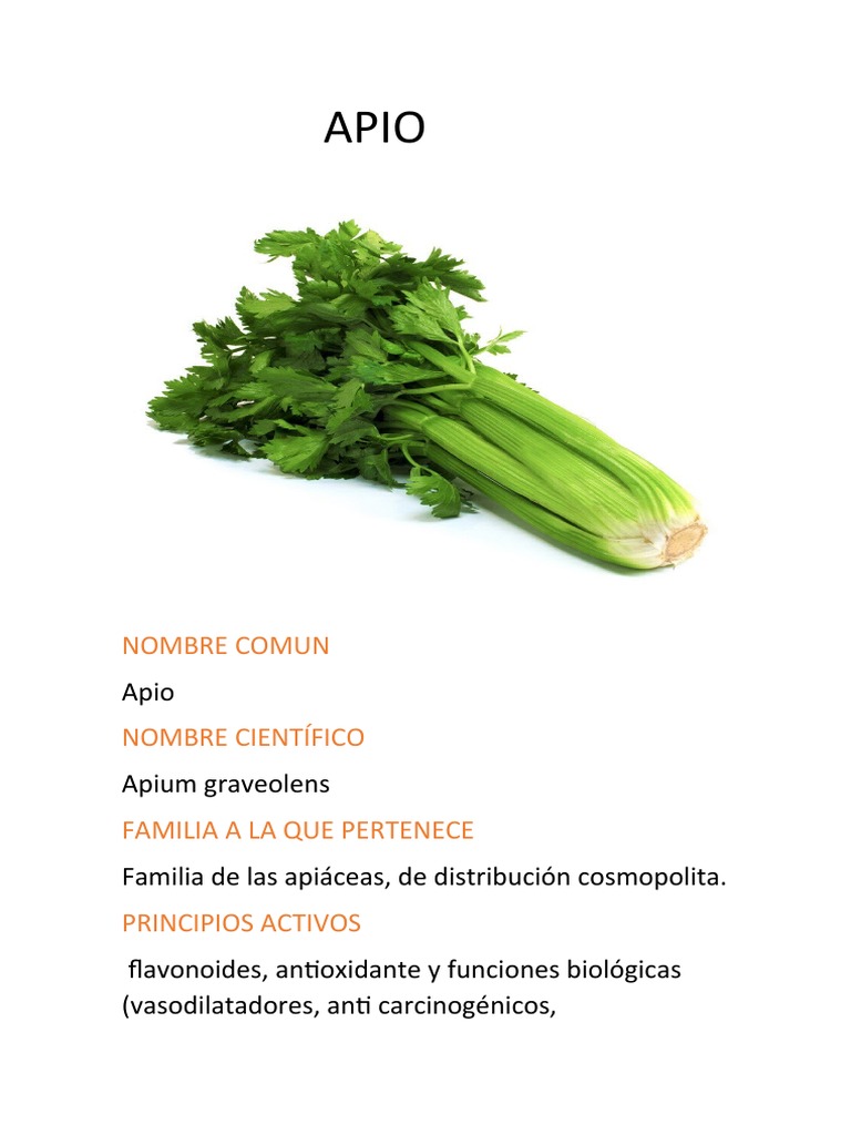 Apio | PDF | Apio | Limonada