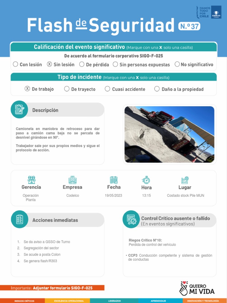 Flash de Seguridad #37 | PDF