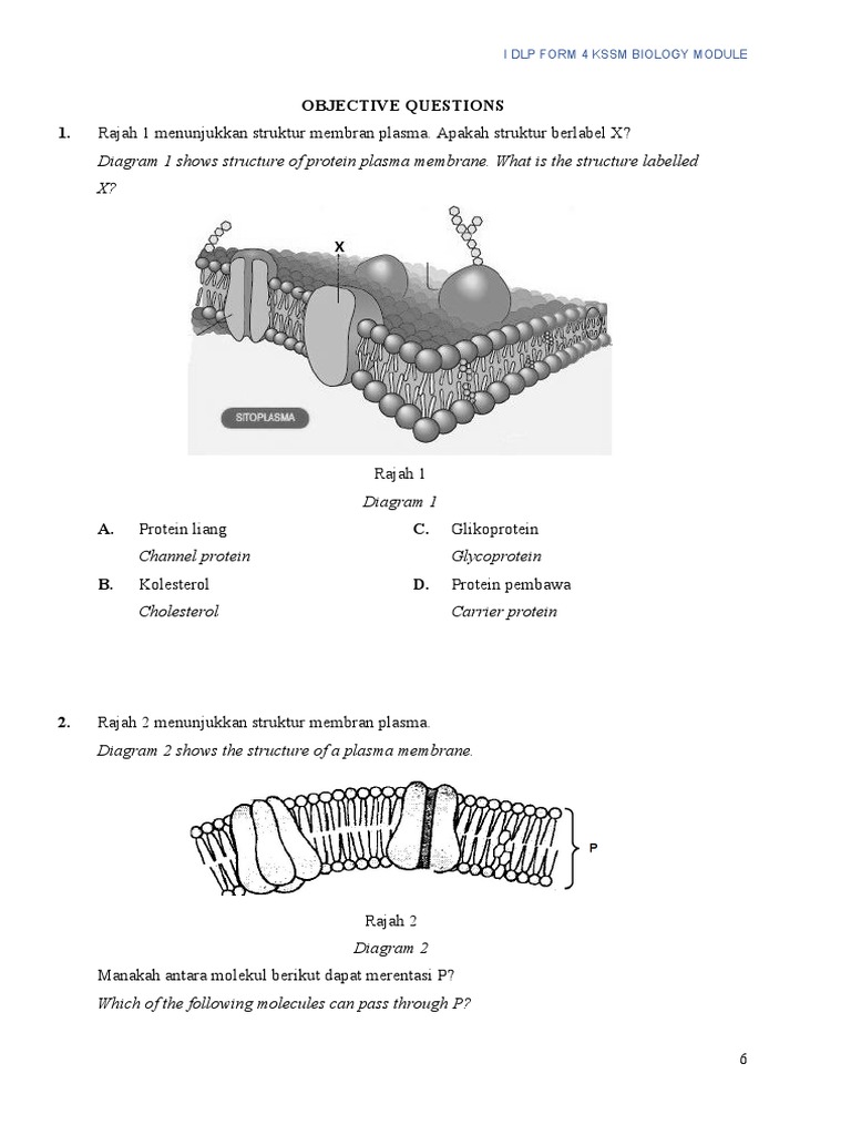 085 42 Final Biologi T4 Fasa 2 DLP-3-34 | PDF