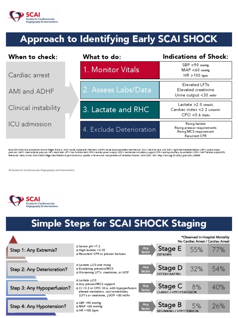 Scai Shock Qi Tool | PDF | Shock (Circulatory) | Myocardial Infarction