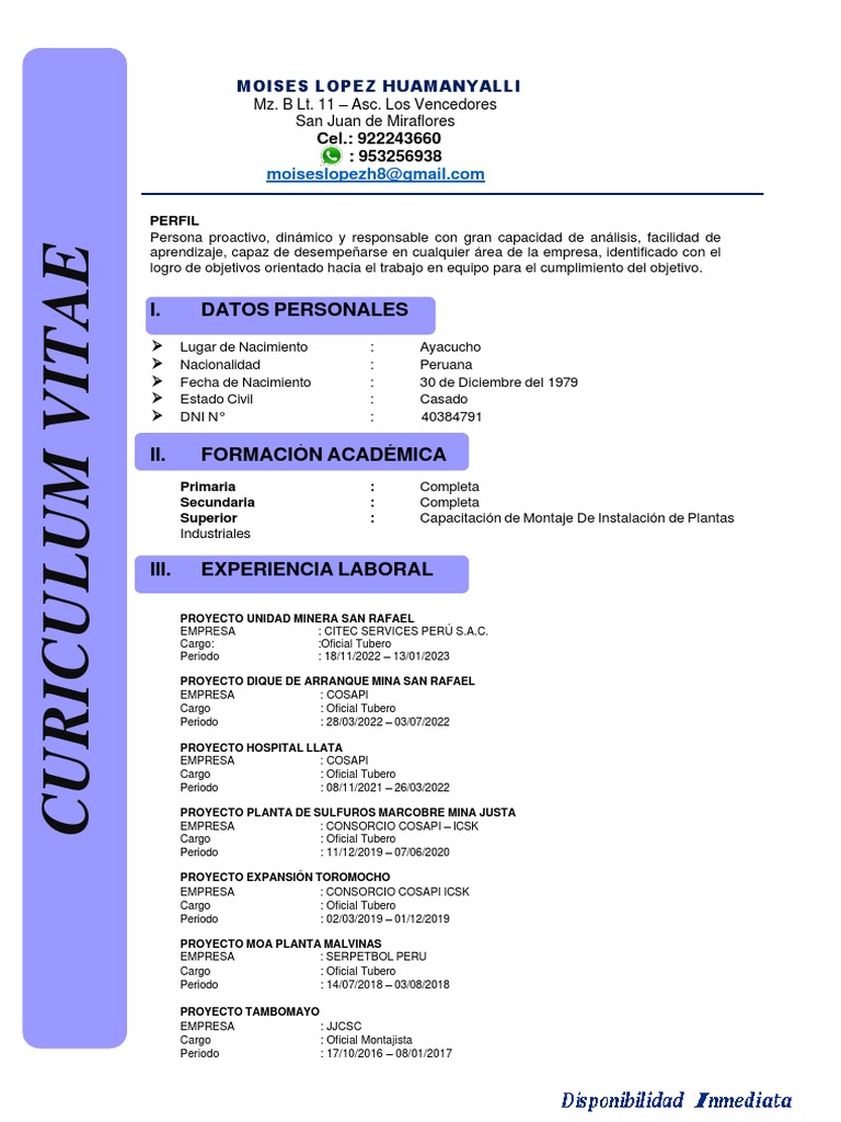 Cv-Oficial Moises 2023 | PDF