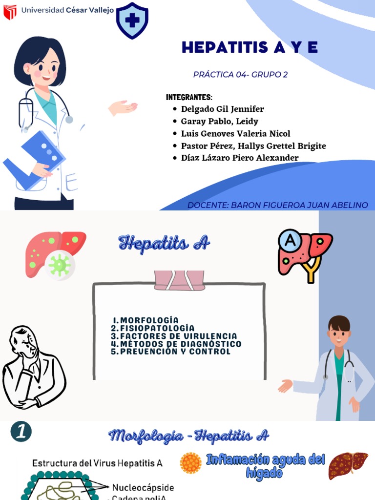 Hepatitis A y E | PDF | Hepatitis | Virus