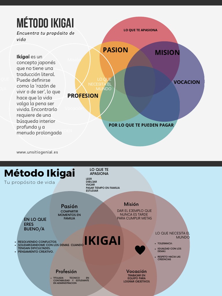 Gráfico Diagrama de Ikigai | PDF