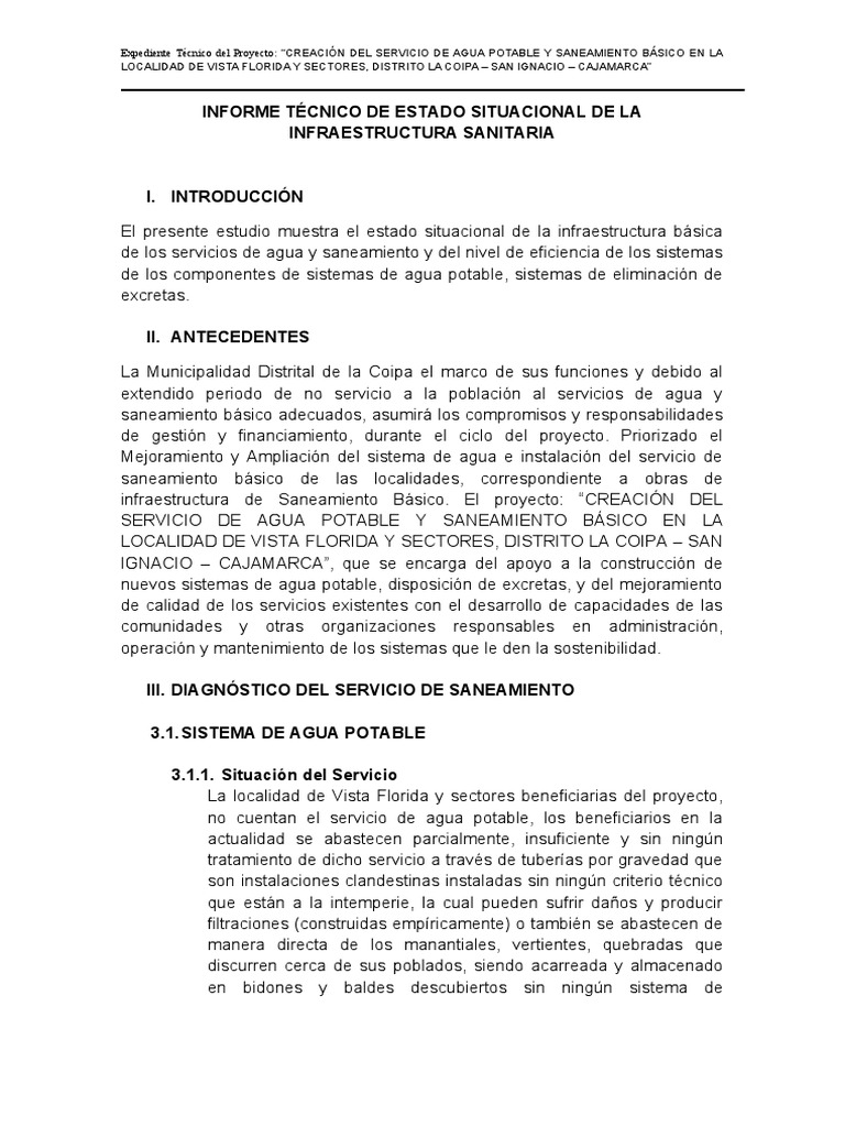 Informe Estado Situacional | PDF | Agua | Saneamiento