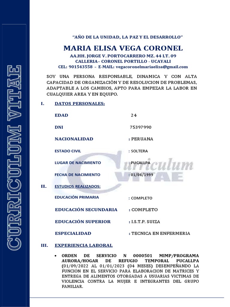 Cv Documentado Actualizado 2022-1 | PDF