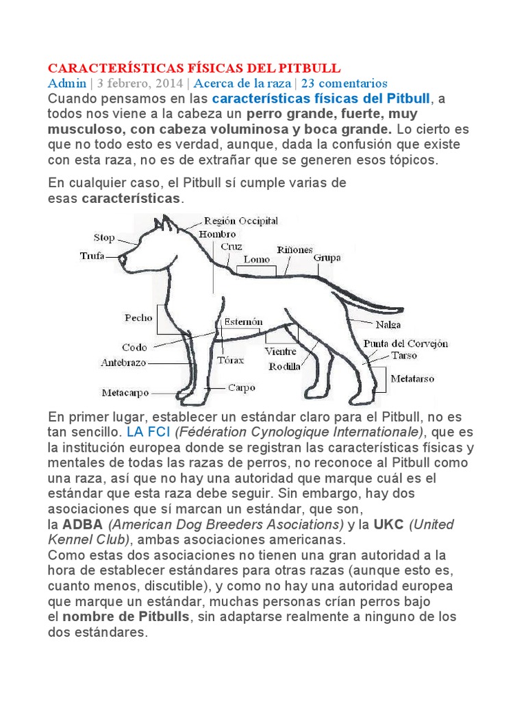 Características Físicas Del Pitbull | PDF | Perros | Animales domesticados