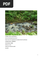 Law Unit 2 Paper 02 May 2021 Cape | PDF