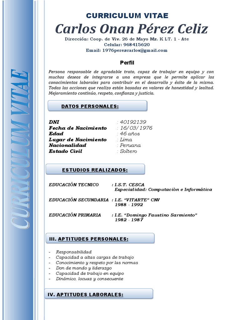 Curriculum CARLOS | PDF