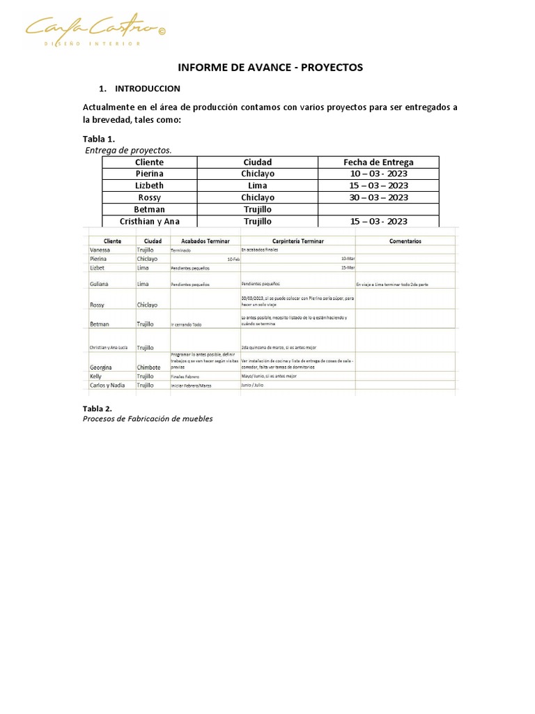 Informe de Avance - Plan de Accion | PDF