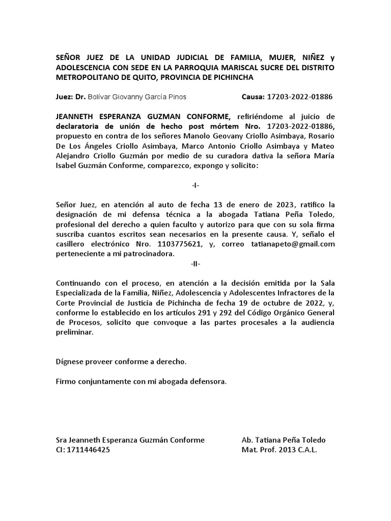 Solicitud de Audiencia | PDF