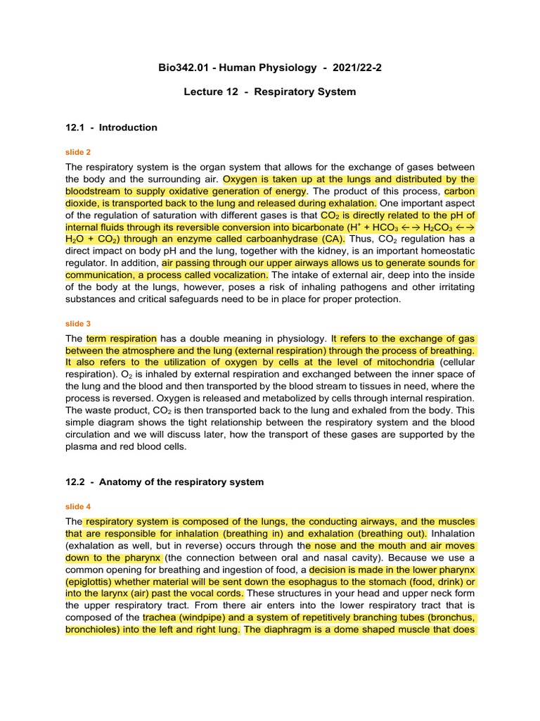 Lecture 12 Respiratory System SHF 2023 | PDF | Respiratory Tract ... Lecture 12 Respiratory System SHF 2023 | PDF | Respiratory Tract ...