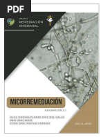 Hoja de Seguridad: Trapos Contaminados | PDF | Contaminación | Agua