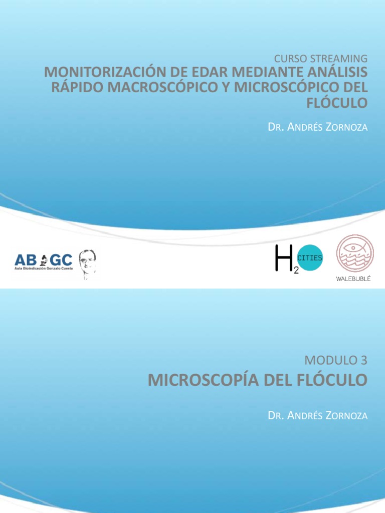 MODULO 3. Microscopia Del Floculo | PDF