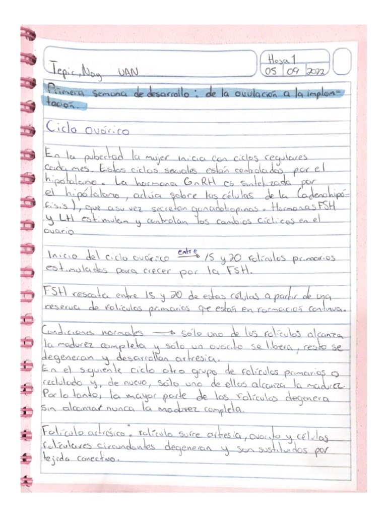 Almejo González Angélica Montserrat de Jesús | PDF