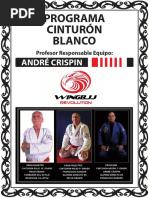 Speeduino Manual Es | PDF | Arduino | Bluetooth