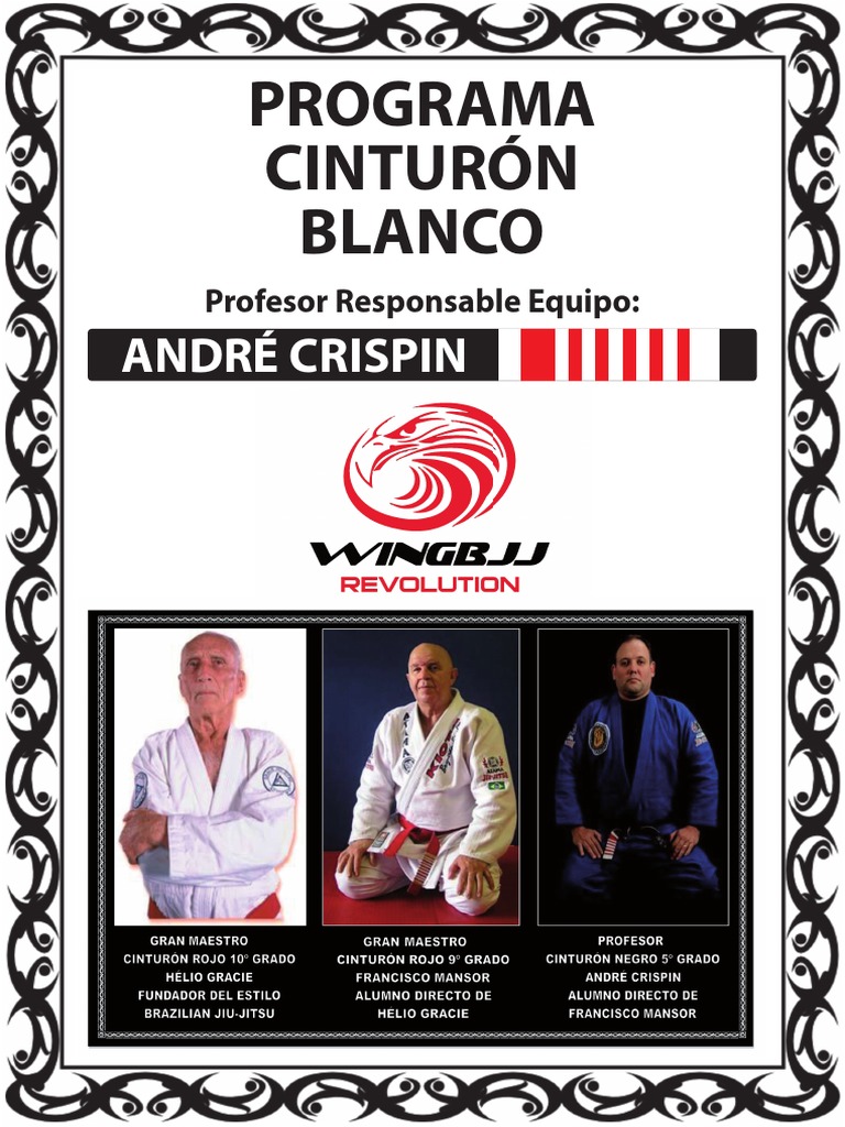 BJJ Programa Cinturon Blanco | PDF