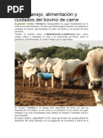 Pasto Buffel. Pennisetum Ciliare (L.) | PDF | Siembra | Aluminio