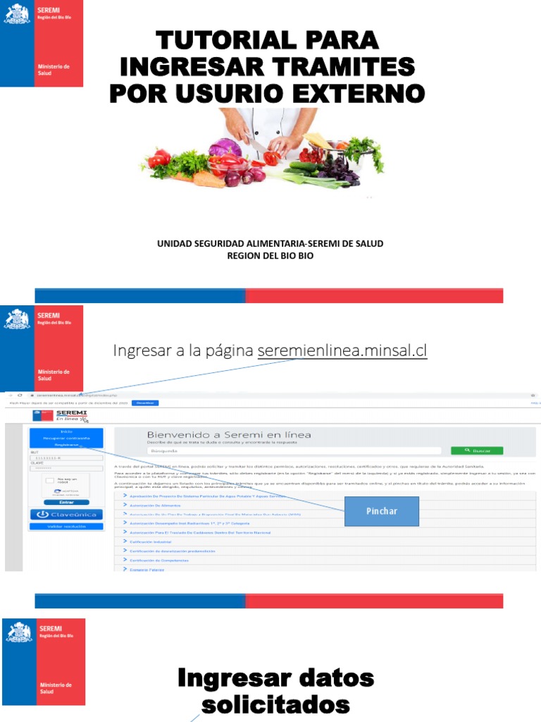 Tutorial Seremi de Salud | PDF | Informática