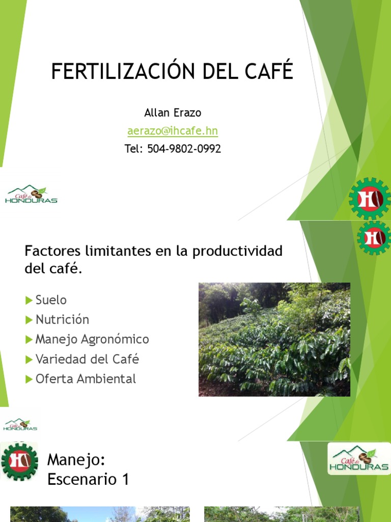 Allan-Erazo_Fertilizacion_del_cafe | PDF | Fertilizante | Horticultura