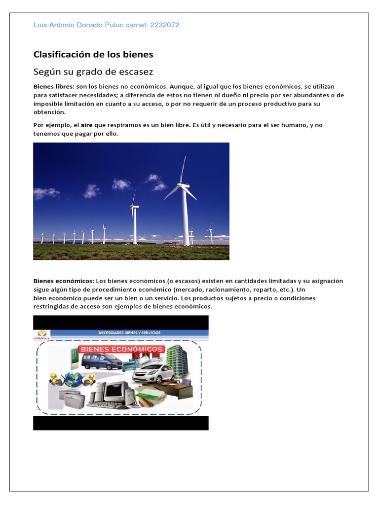 Clasificacion de Los Bienes | PDF | Bienes | Artículos de lujo