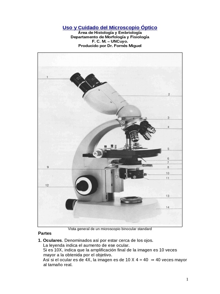 Uso y Cuidado Del Microscopio Óptico | PDF | Ojo | Microscopio