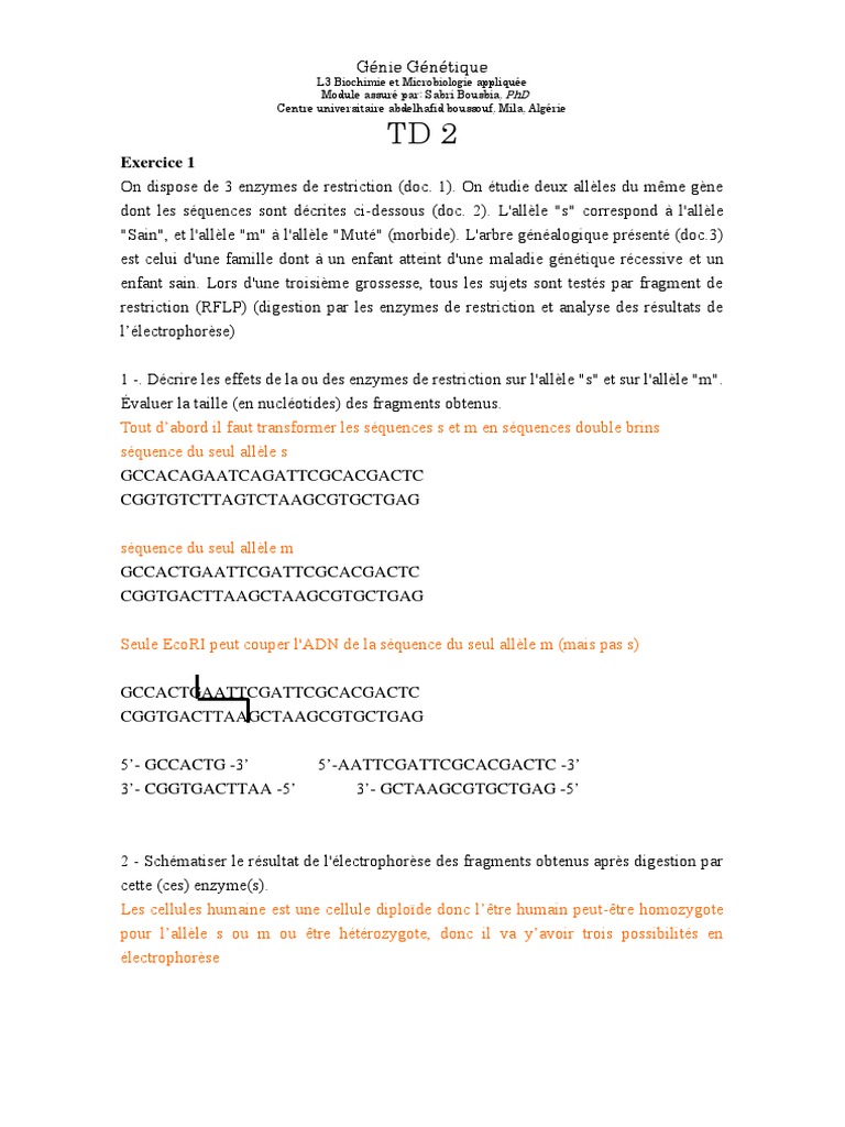 Solution-TD2 Génie Génétique | PDF