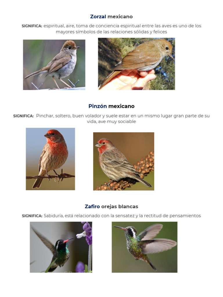 Nombre de Aves | PDF