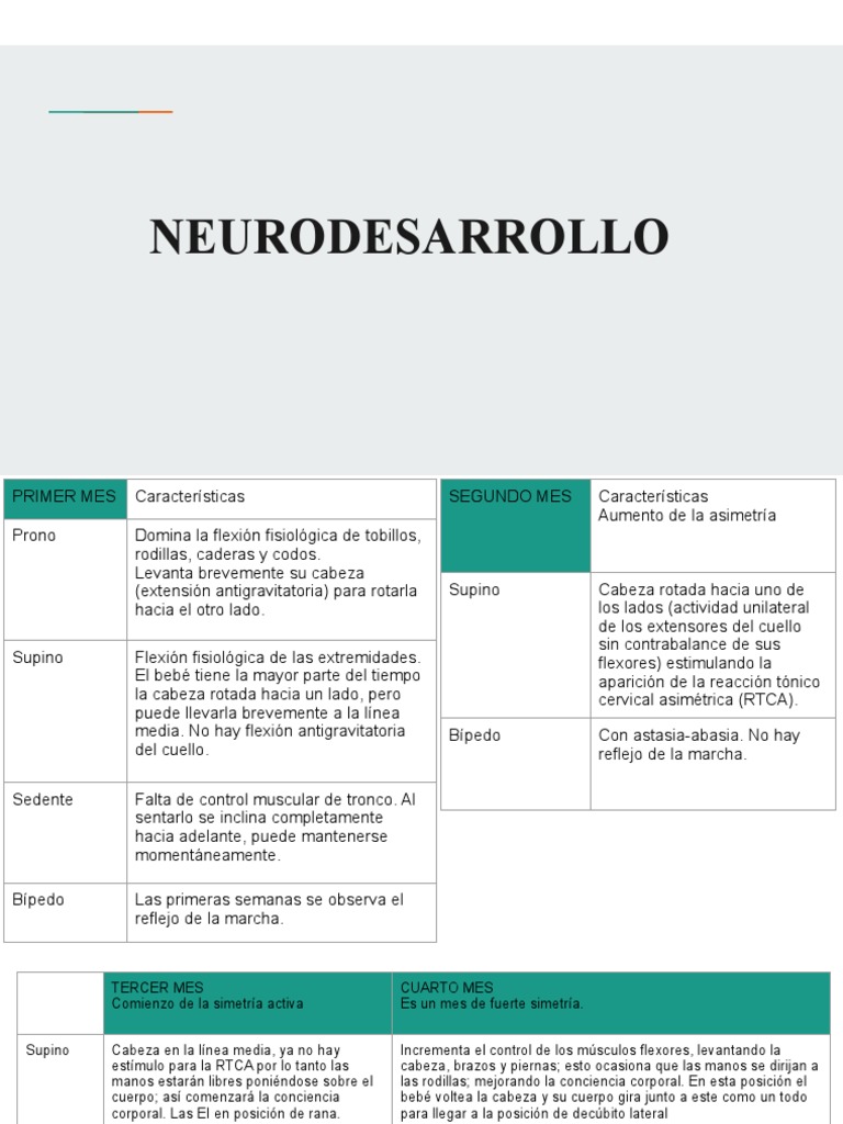 Etapas Del Neurodesarrollo | PDF | Pelvis | Rodilla