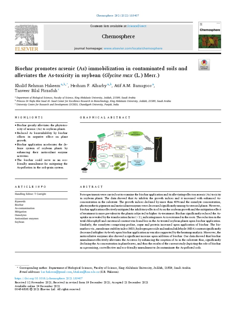 Biochar Promotes Arsenic (As) Immobilization | PDF | Science ...