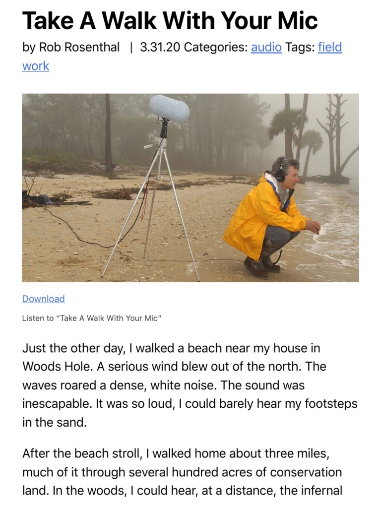 Take A Walk With Your Mic | PDF | Art