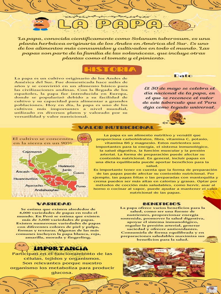 Infografia Sobre La Historia de La Papa | PDF | Patata | Nutrición