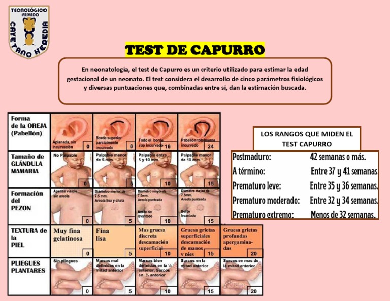 Test de Capurro | PDF