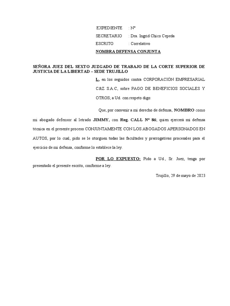 Defensa Conjunta | PDF