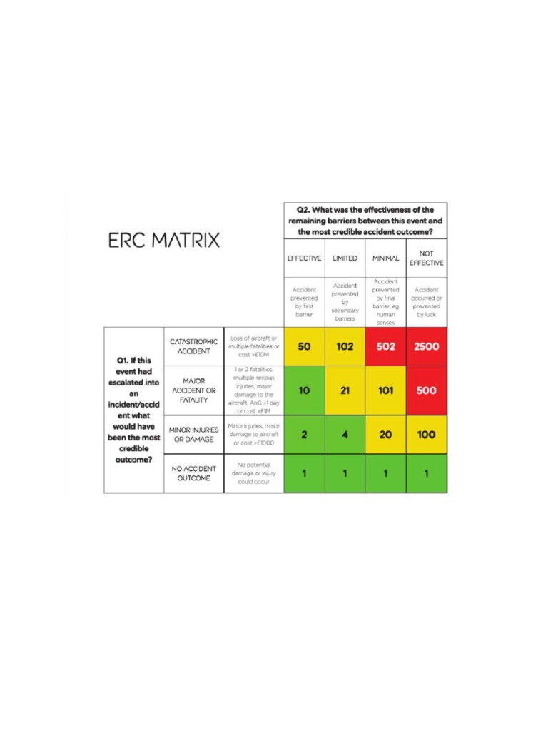 ERC Matrix | PDF