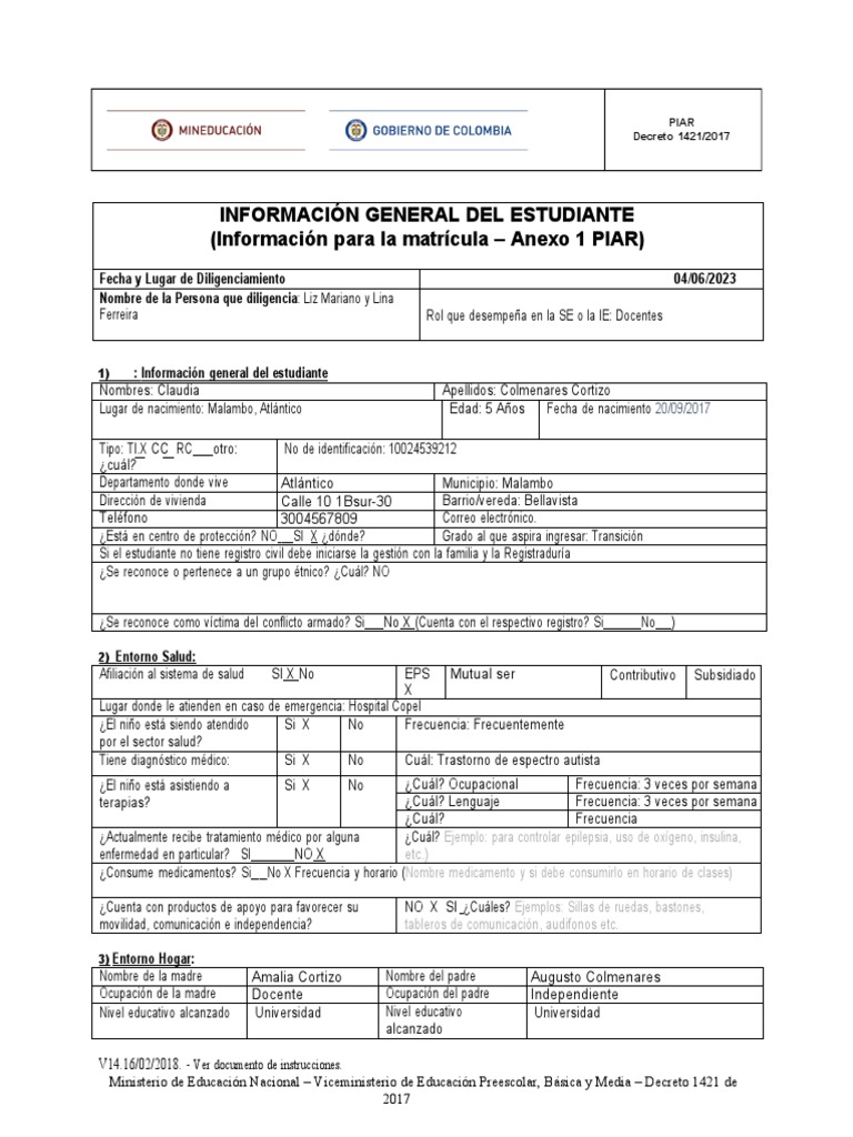 Formato PIAR | PDF | Educación de la primera infancia | Las emociones