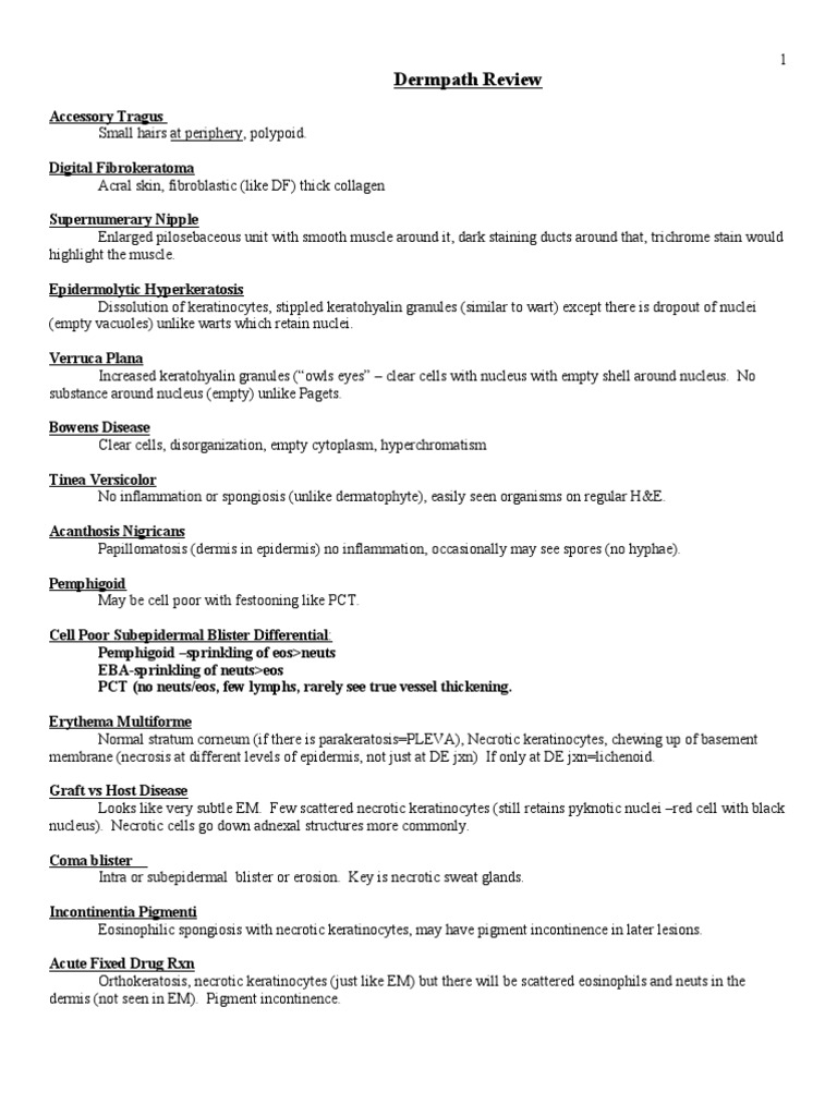 Dermpath Pdf Cutaneous Conditions Epithelium