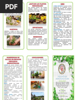 Plantas Medicinales de La Sierra | PDF | Especialidades Medicas | Medicina CLINICA