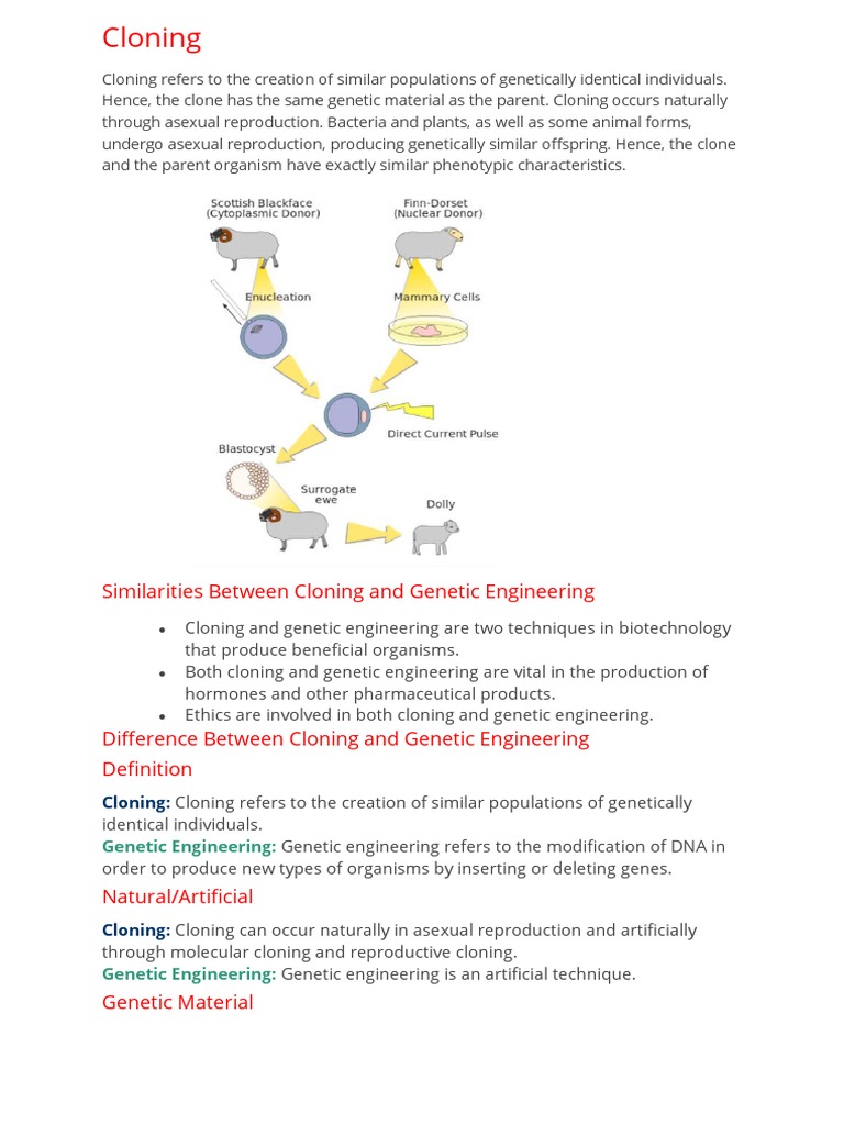 Cloning and Genetic Engineering | PDF