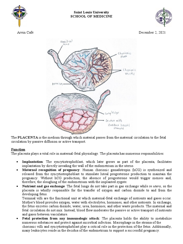 Placenta and Its Function | PDF | Placenta | Fetus