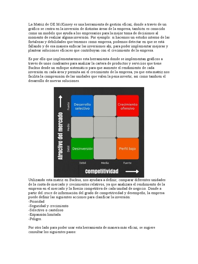 La Matriz de GE McKinsey Es Una Herramienta de Gestión Eficaz | PDF ...
